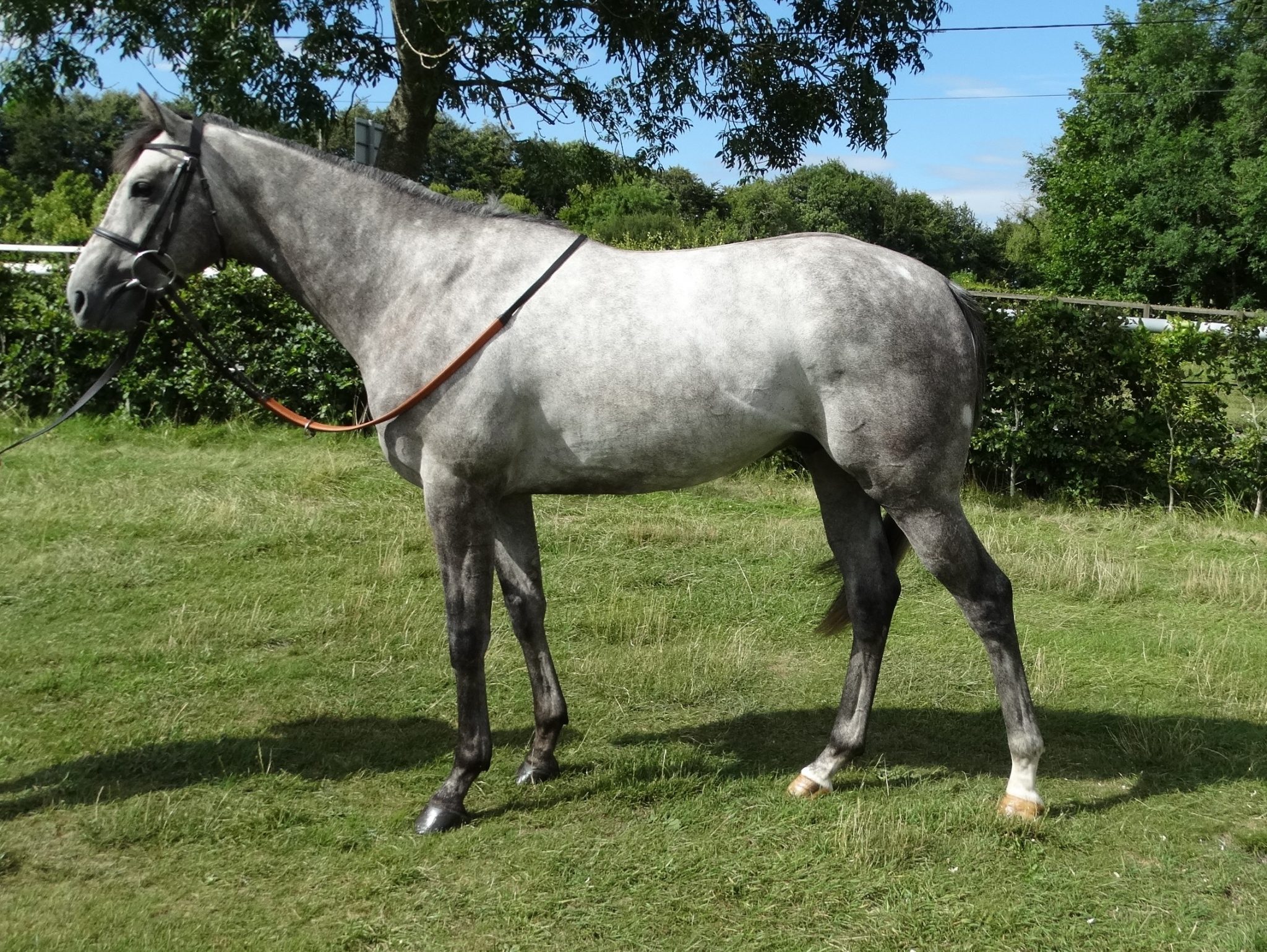 nafaas-august-2019 | Harry Charlton | Beckhampton House