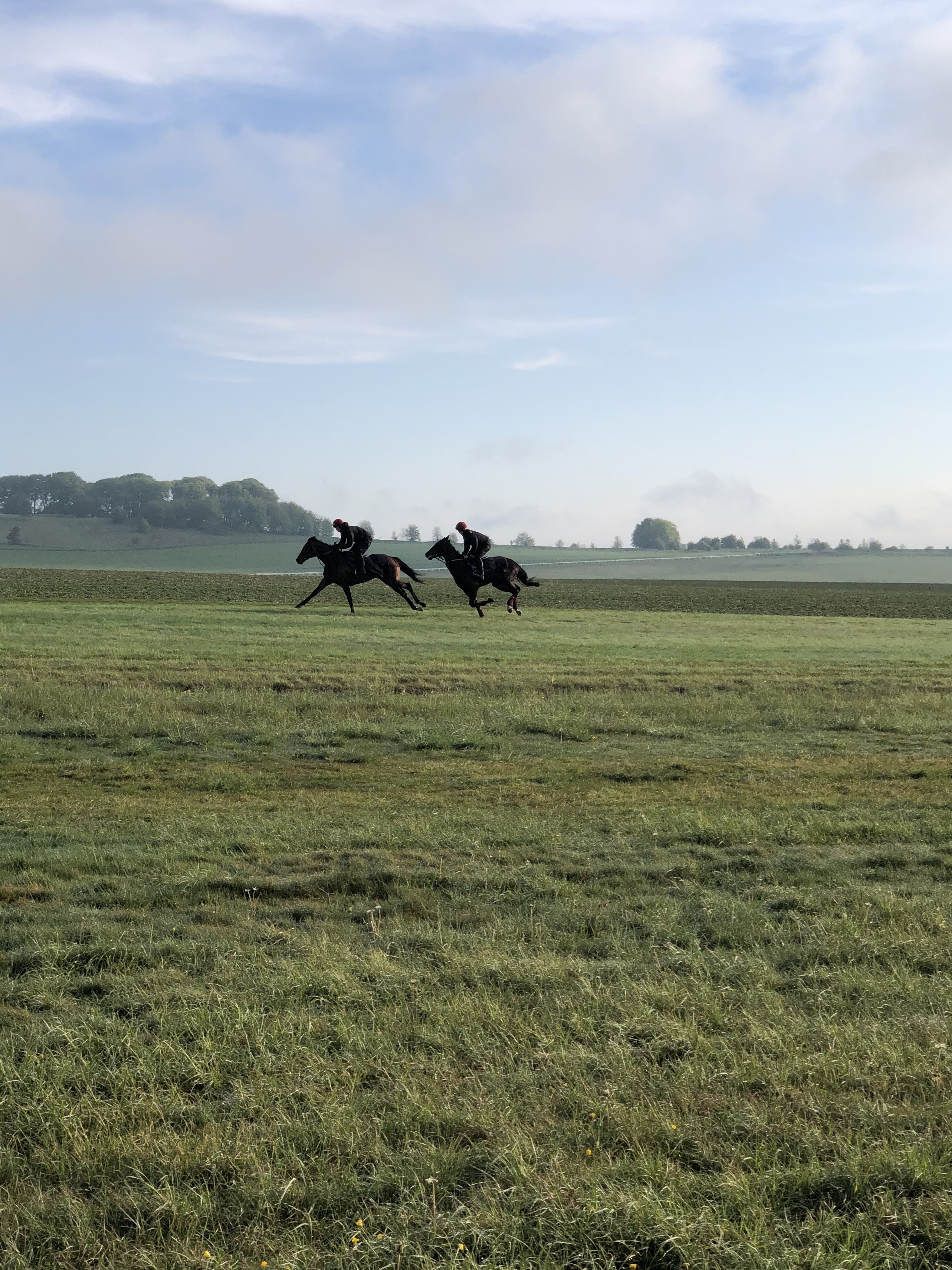 grass-april | Harry Charlton | Beckhampton House