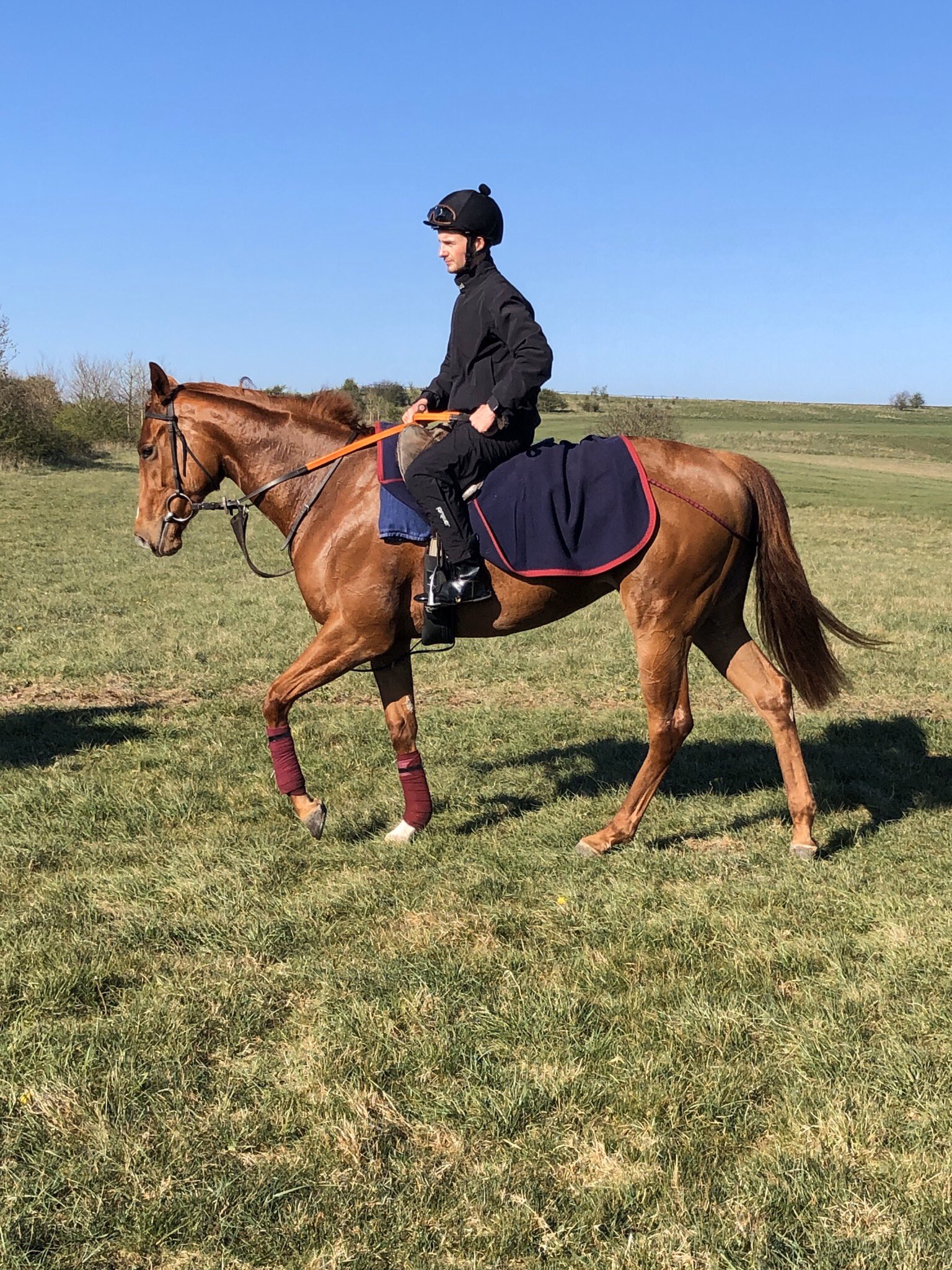 her-way | Harry Charlton | Beckhampton House