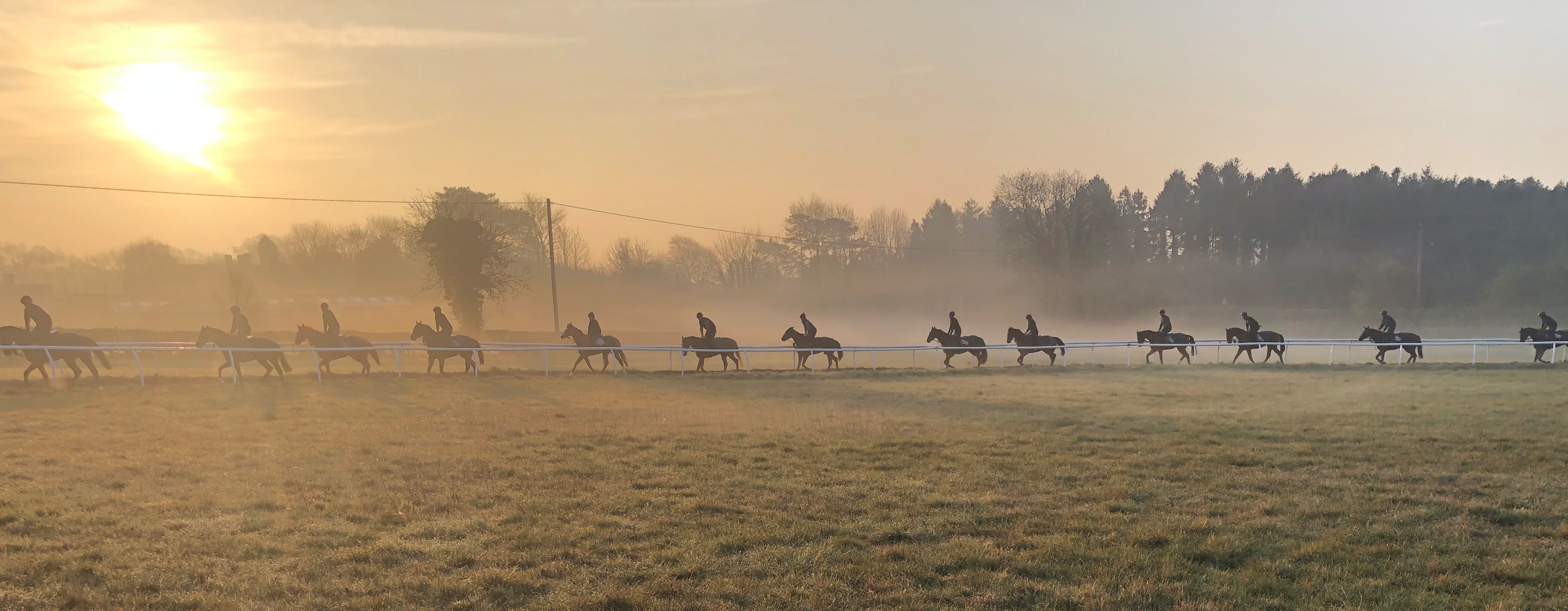 web | Harry Charlton | Beckhampton House