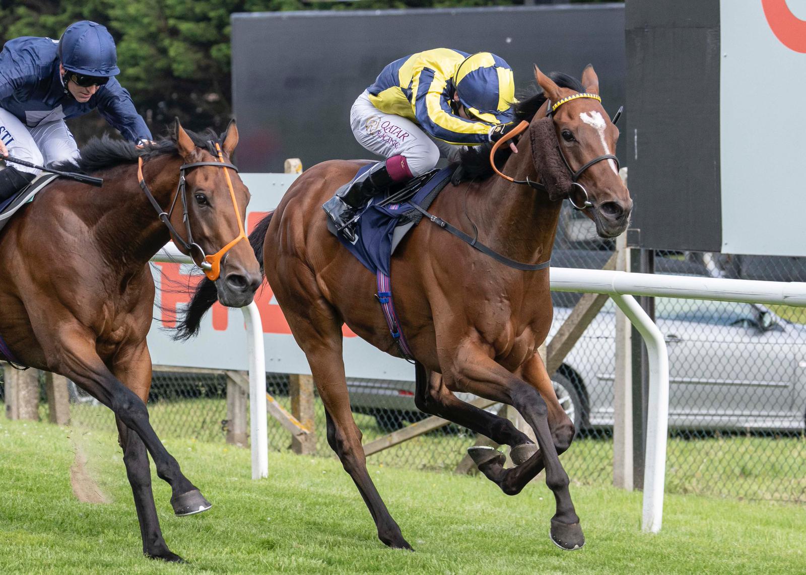 big-boy-bobby-brighton | Harry Charlton | Beckhampton House