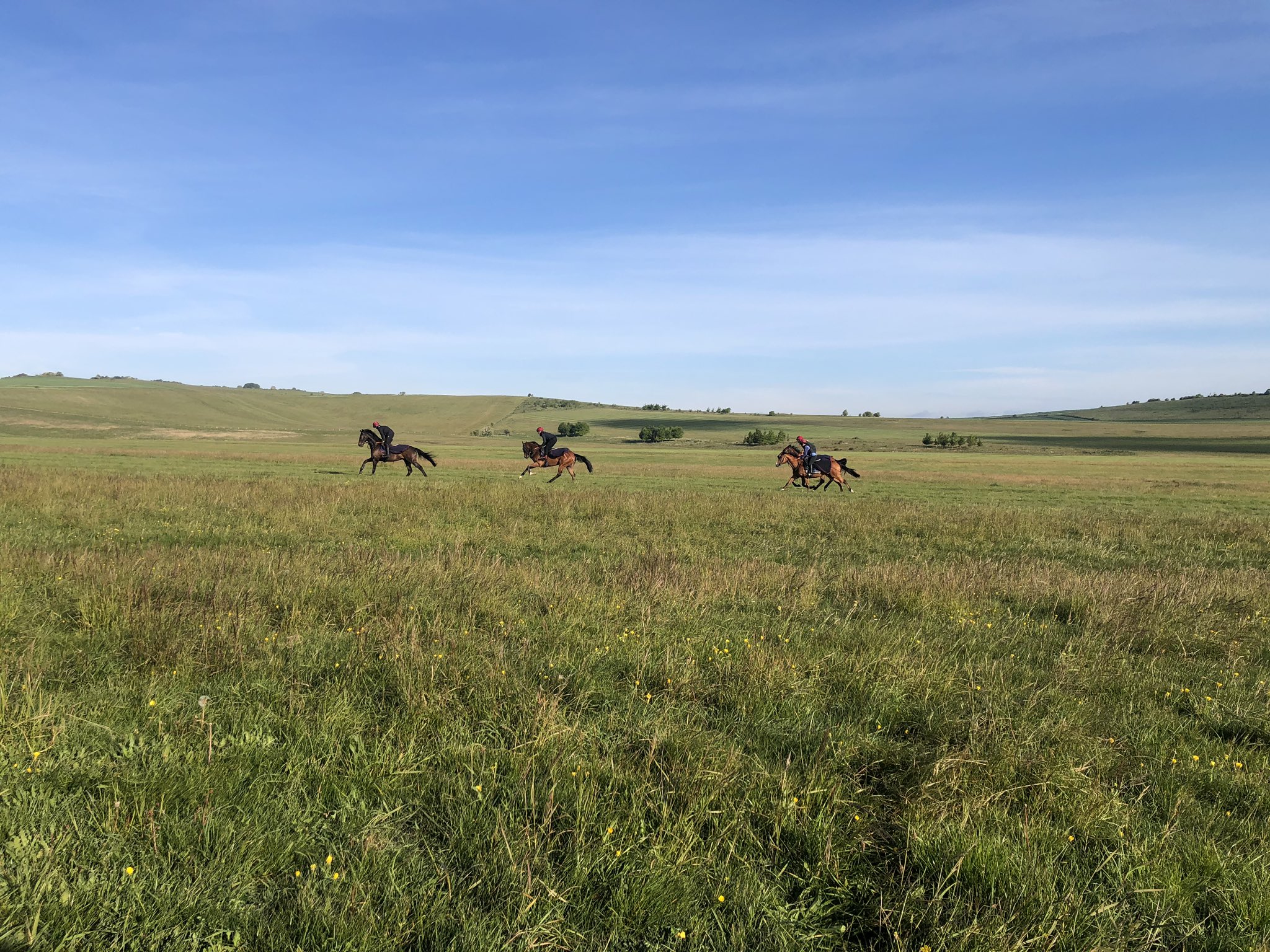 may.. | Harry Charlton | Beckhampton House