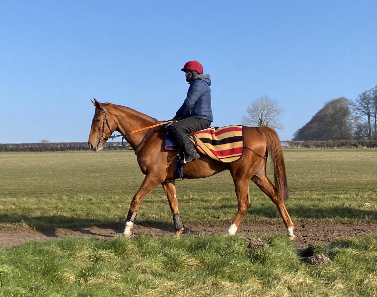 imperium | Harry Charlton | Beckhampton House