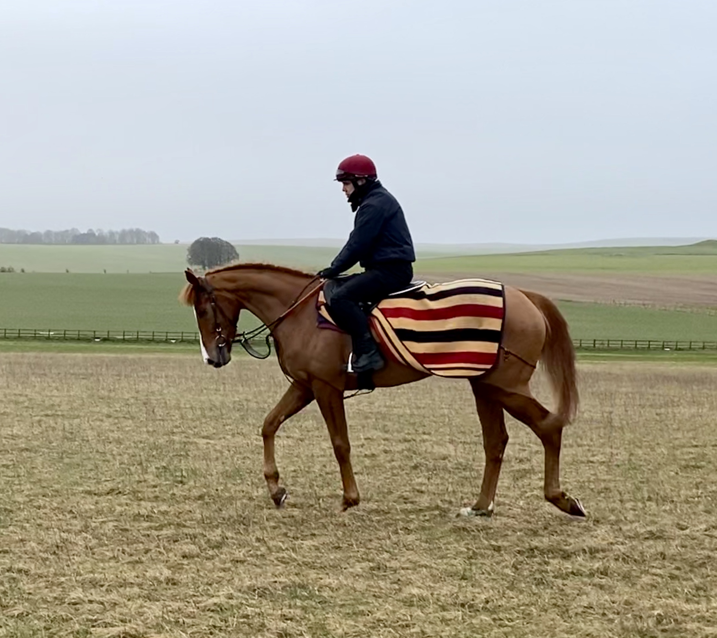 louganini-march-2020 | Harry Charlton | Beckhampton House