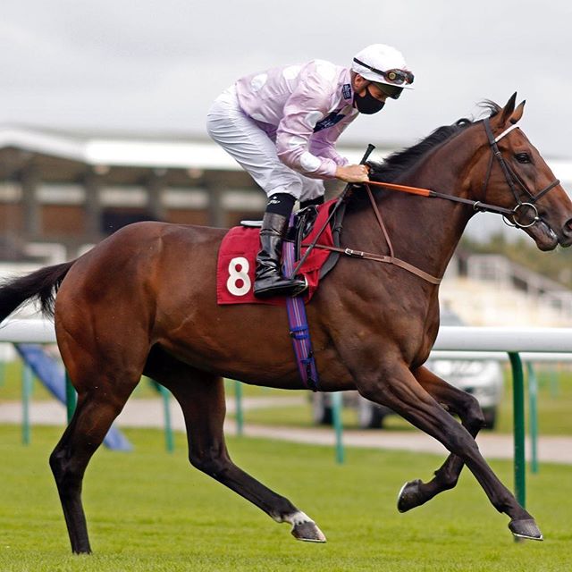 Pleasant Man winning at Haydock | Harry Charlton | Beckhampton House
