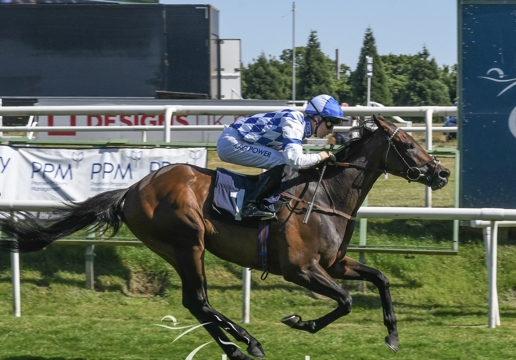 persian-royal-doncaster | Harry Charlton | Beckhampton House