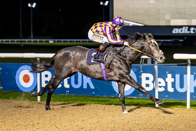 3 Year Olds | Harry Charlton | Beckhampton House