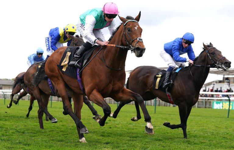 3 Year Olds | Harry Charlton | Beckhampton House