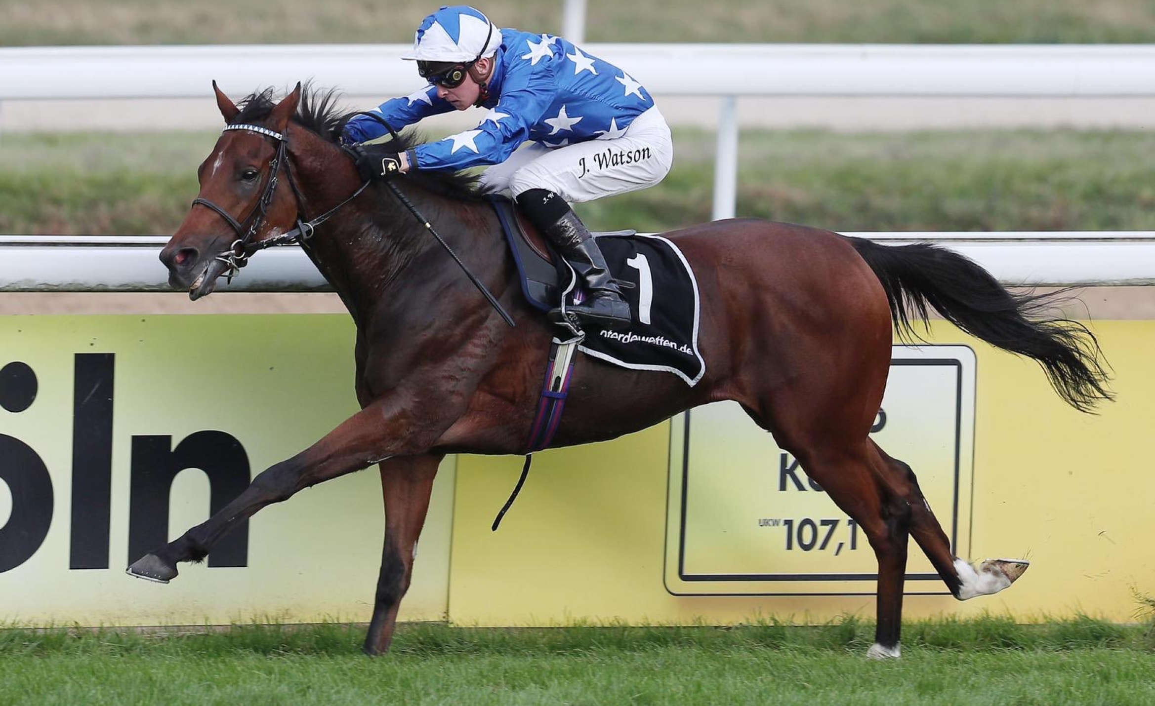 Harry Charlton | Beckhampton House | Harry Charlton | Beckhampton House