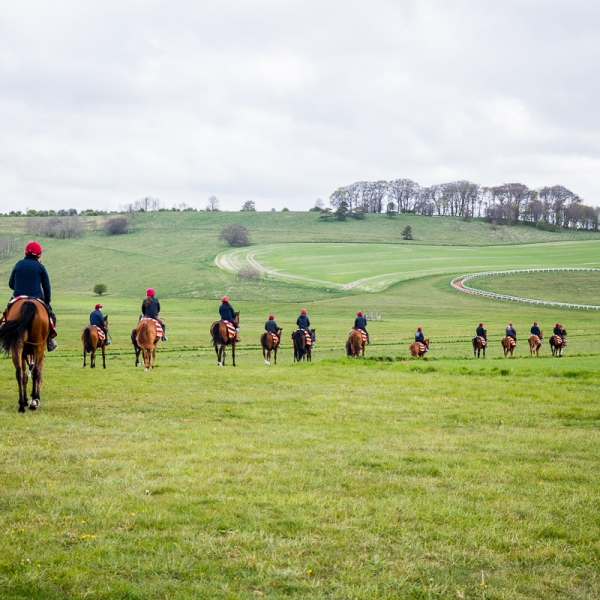 Facilities | Harry Charlton | Beckhampton House