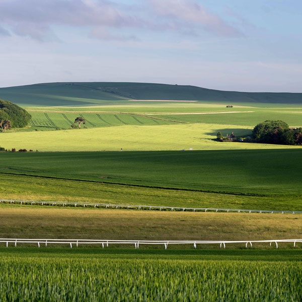 Facilities | Harry Charlton | Beckhampton House