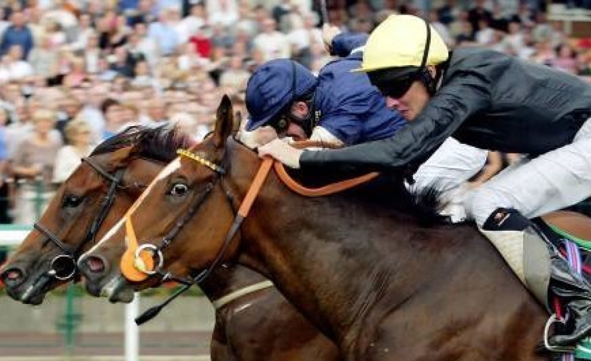 Harry Charlton | Beckhampton House | Harry Charlton | Beckhampton House