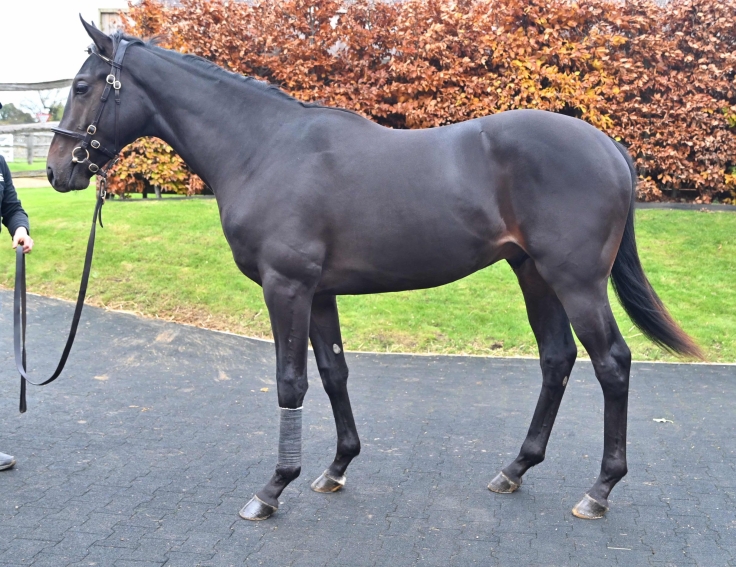 Harry Charlton | Beckhampton House | Harry Charlton | Beckhampton House