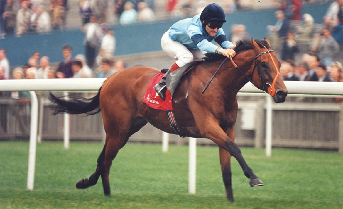 Harry Charlton | Beckhampton House | Harry Charlton | Beckhampton House